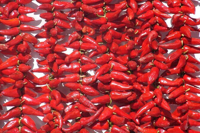 Basque Country Food Tour - Why This Tour Offers Good Value