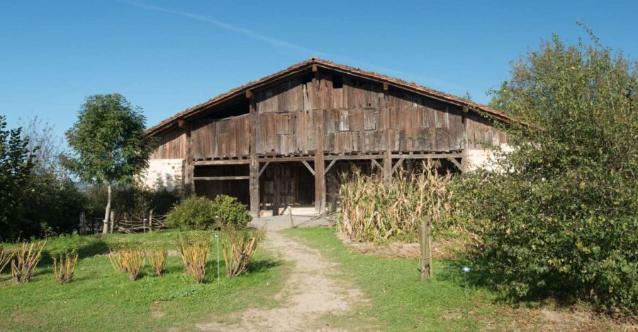 Basque Press Farm and Traditional Cider House with transport - Why This Tour Is a Great Choice
