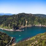 "Basque Whaleship & Cider House" tour + meal from San Sebastian - Authenticity and Review Highlights