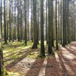 Bastogne, Battle of the Bulge Private Tour - Why This Tour Works Well