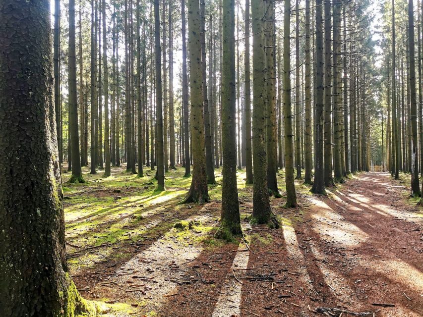 Bastogne, Battle of the Bulge Private Tour - Why This Tour Works Well
