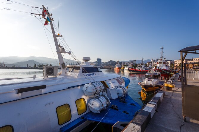 Batumi Walking Tour - Key Points