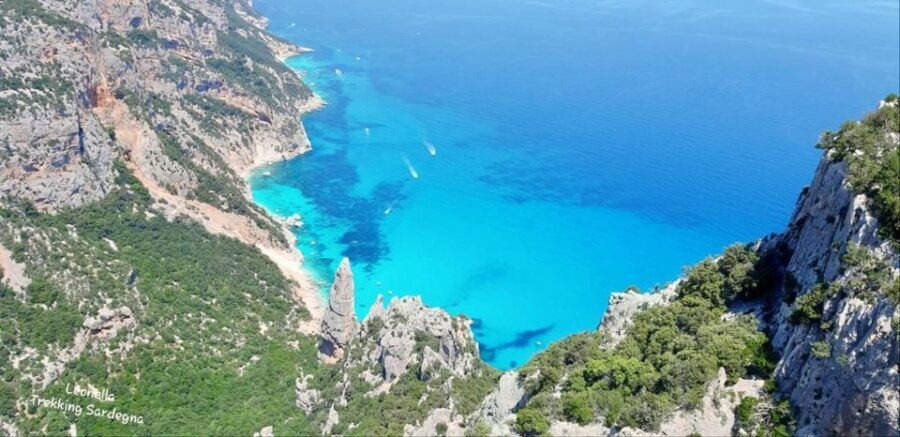 Baunei: Cala Goloritzè Trekking Tour with A Guide - Highlights of the Tour