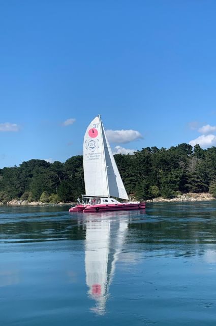 Bay of Quiberon or Morbihan gulf: Evening 2 hours navigation - Who Is This Experience Best For?
