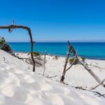 Beach Tour Porto Pino and Piscinnì - Analyzing the Value and Experience