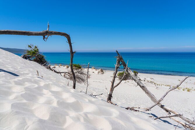 Beach Tour Porto Pino and Piscinnì - Analyzing the Value and Experience