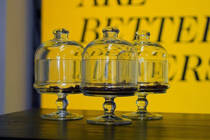 Bean to Bar Chocolate Mini Tasting in Bonn - The Guided Mini-Tasting
