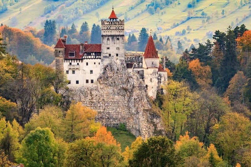 Bear Sanctuary, Dracula's Castle and Brasov | Private Tour - The Value and Considerations