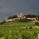 Beaujolais Wine Tour - Tastings & Gourmet Picnic Lunch - What Our Reviews Say