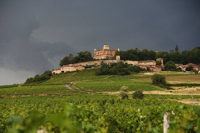 Beaujolais Wine Tour - Tastings & Gourmet Picnic Lunch - What Our Reviews Say