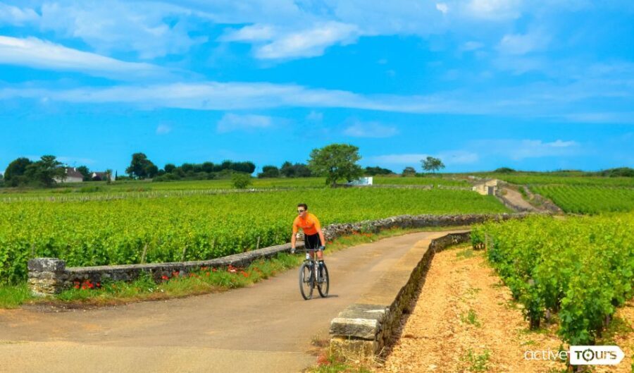 Beaune: Winery Tour by Bike with Wine Tasting - What the Reviews Tell Us