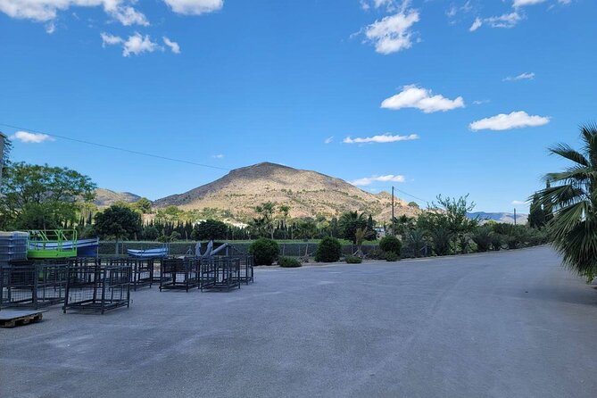Beautiful Winery in the Alicante - Key Points
