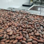 Become a chocolatier for a day! - Who This Tour Is Best For