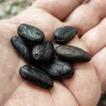 Become a chocolatier for a day, in Modica raw chocolate - A Deep Dive into the Chocolate Experience in Modica