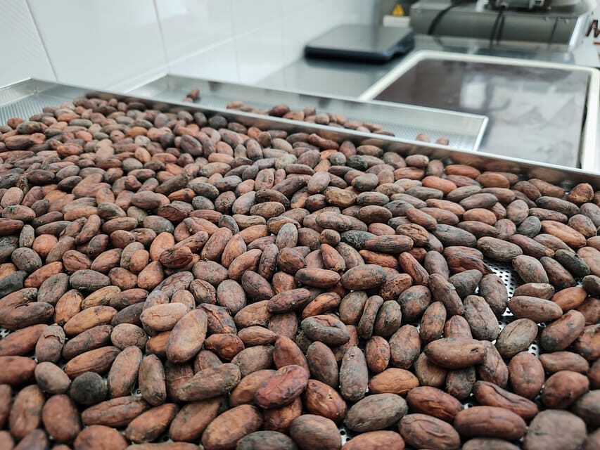 Become a chocolatier for a day! - Who This Tour Is Best For