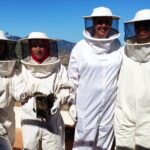 Bee Excursions in the Sierra de Cadiz - Practical Tips for Visitors