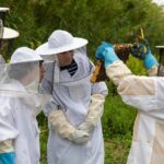 Bee Inspired: A Journey in São Miguel and a Visit to an Apiary - An In-Depth Look at the Itinerary