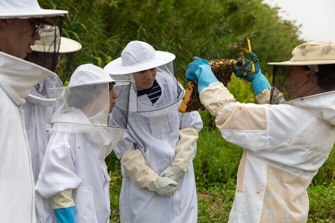 Bee Inspired: A Journey in São Miguel and a Visit to an Apiary - An In-Depth Look at the Itinerary