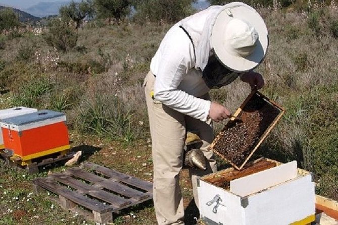 Beekeeper for a Day close to Nafplio - An In-Depth Look at the Beekeeper for a Day Tour