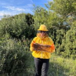 Beekeeper for a Day in the Torre Guaceto Reserve - The Practicalities: What Travelers Should Know