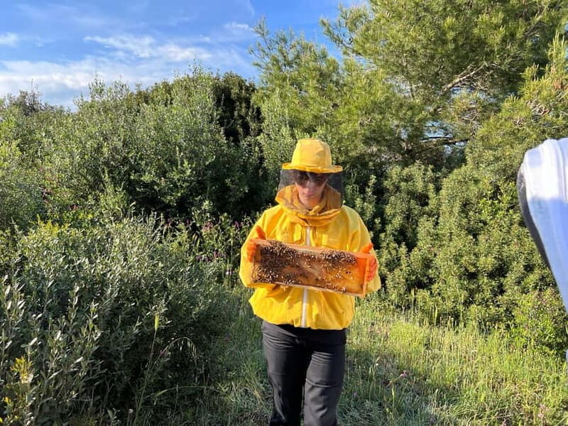 Beekeeper for a Day in the Torre Guaceto Reserve - The Practicalities: What Travelers Should Know