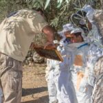 Beekeeping and Honey Stories in Itea - Price and Value: Are You Getting Your Money’s Worth?