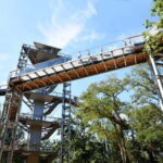 Beelitz-Heilstätten: Baum&Zeit Tree Top Walk Entry Ticket - History and Architecture