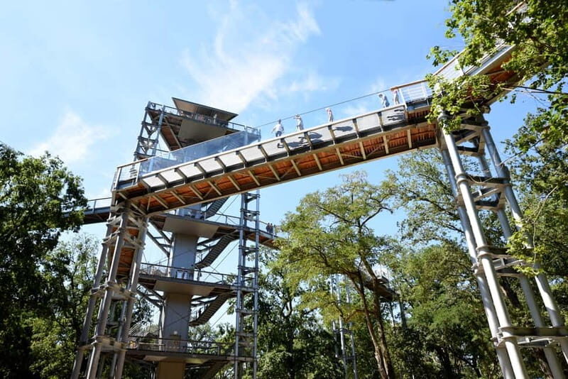 Beelitz-Heilstätten: Baum&Zeit Tree Top Walk Entry Ticket - History and Architecture