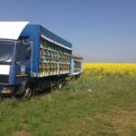 Bees Adventure in Romania - Private Day Trip from Bucharest - Practical Details and Value
