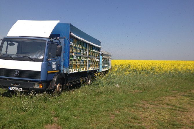 Bees Adventure in Romania - Private Day Trip from Bucharest - Practical Details and Value