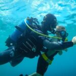 Beginner Diving Experience in Ligaria Bay - Who Is This Tour Best For?