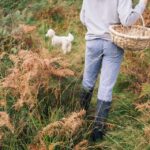 Beginner Foraging Walk: Wild food walking tour & tasters - Authentic Feedback from Participants
