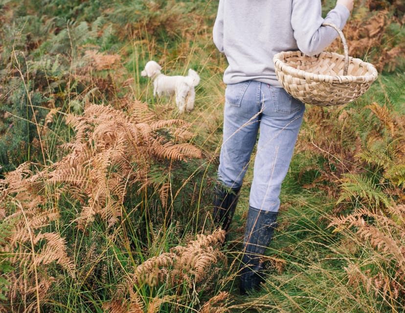 Beginner Foraging Walk: Wild food walking tour & tasters - Authentic Feedback from Participants