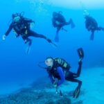 Beginner Scuba Dive with Scubapoint Tenerife in Turtle Area - A Detailed Breakdown of the Itinerary