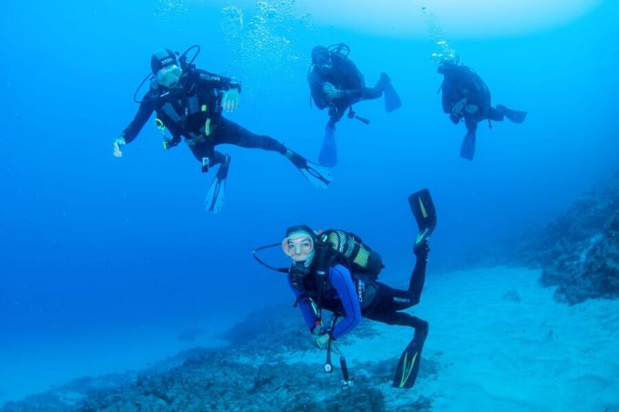 Beginner Scuba Dive with Scubapoint Tenerife in Turtle Area - A Detailed Breakdown of the Itinerary