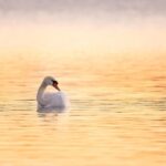 Beginners Wildlife Photography Workshop - Introduction: A Friendly Start to Wildlife Photography