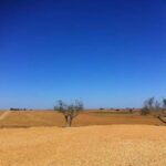 Beja private guided city tour - Delving Into the Cultural and Historical Layers