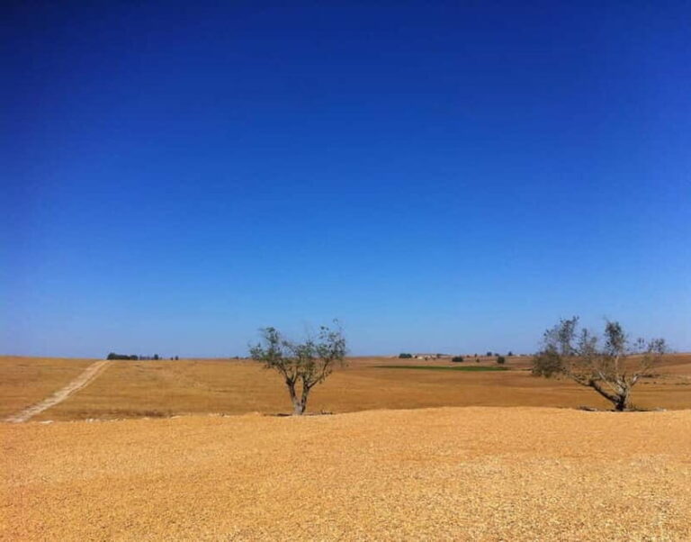 Beja private guided city tour - Delving Into the Cultural and Historical Layers