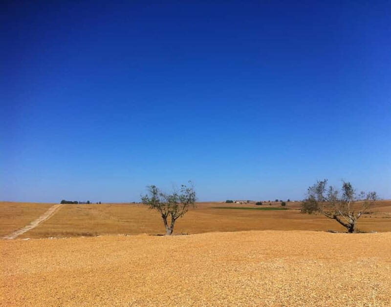 Beja private guided city tour - Delving Into the Cultural and Historical Layers