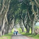 Belfast city & Giants causeway private tour - The North Coast: A Mix of Nature, Legends, and History