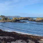 Belfast : Giants Causeway 8 hour private day tour - Analyzing the Experience: Value and Practicality