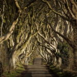 Belfast Giant's Causeway and Titanic Distillery Whiskey Tour - What the Experience Feels Like for Travelers