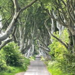 Belfast: Giants Causeway Tour Cruise Ship Excursion - The Benefits of a Private Guide