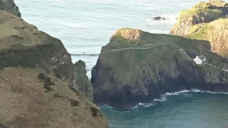 Belfast: North Coast & Giant's Causeway Private Guided Tour - Transportation and Comfort