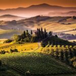 Bella Toscana Private Tour: 2 Chianti Wineries and San Gimignano From Livorno - Analyzing the Price and Value