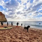 Benagil: Guided Kayaking Tour to the Benagil Cave - The Itinerary and Experience