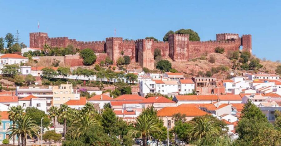 Benagil & Silves Castle Seightseing Tour from Albufeira - The Transportation and Group Dynamics