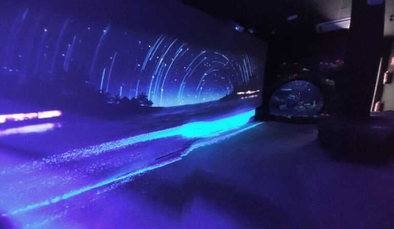 Benalmadena Aquarium Visit - What to Expect at Benalmádena Aquarium