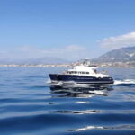 Benalmádena: Catamaran Cruise with Drinks and Swim Stop - What the Cruise Feels Like
