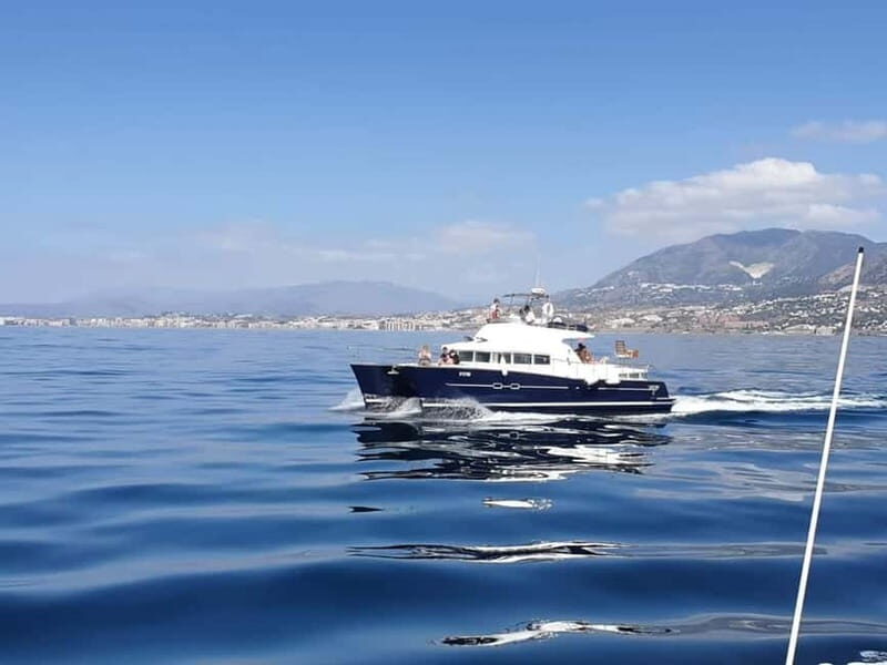 Benalmádena: Catamaran Cruise with Drinks and Swim Stop - What the Cruise Feels Like